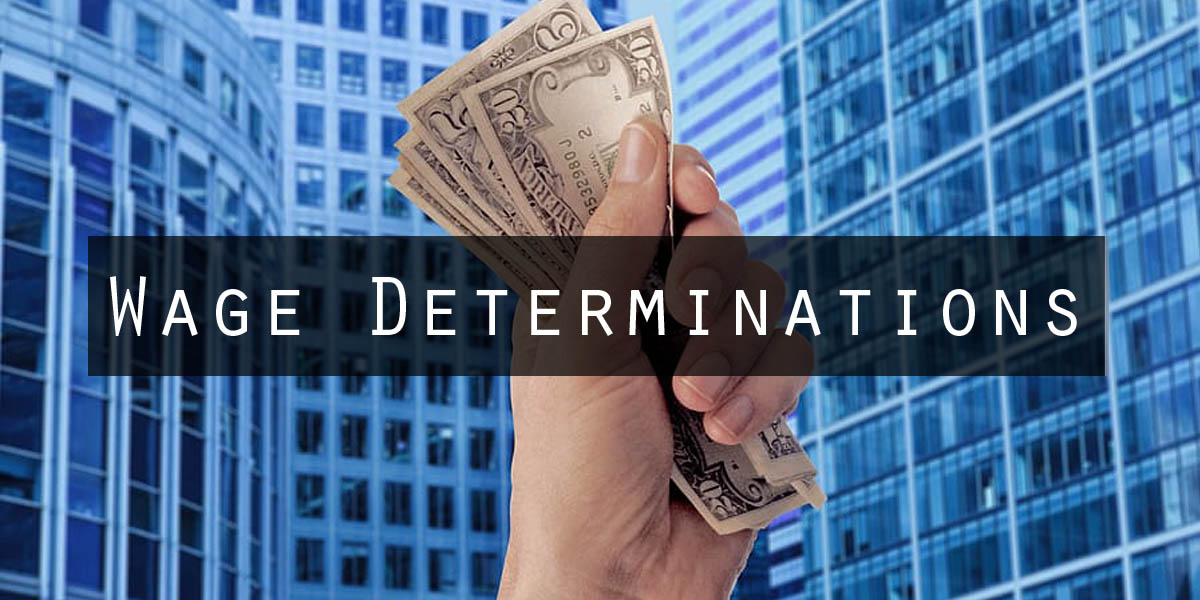 A Few Facts About Wage Determination GovCon Biz